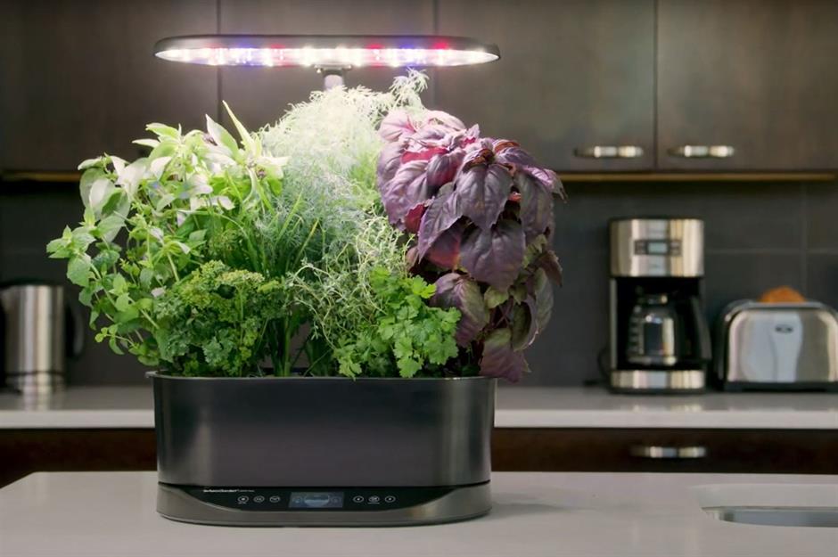 Smart Growing Systems That Have Changed Indoor Growing - Turkish Weekly